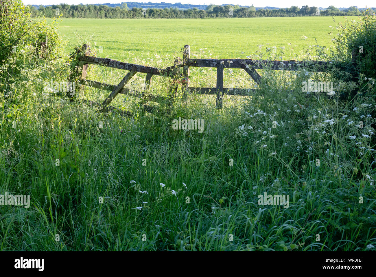 Gates in a field hi-res stock photography and images - Alamy
