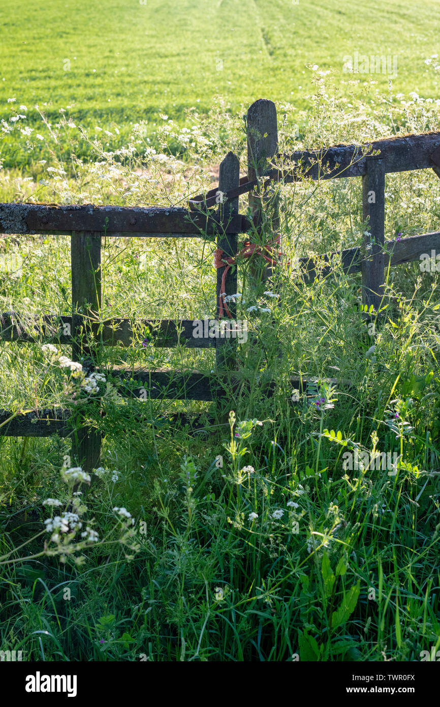 Wooden gates hi-res stock photography and images - Alamy