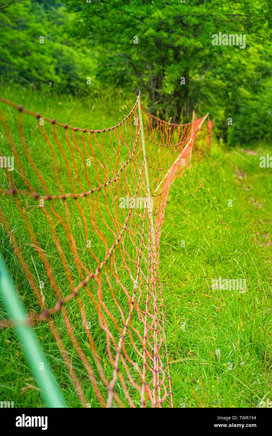 Fence with stream for grazing animals Stock Photo - Alamy