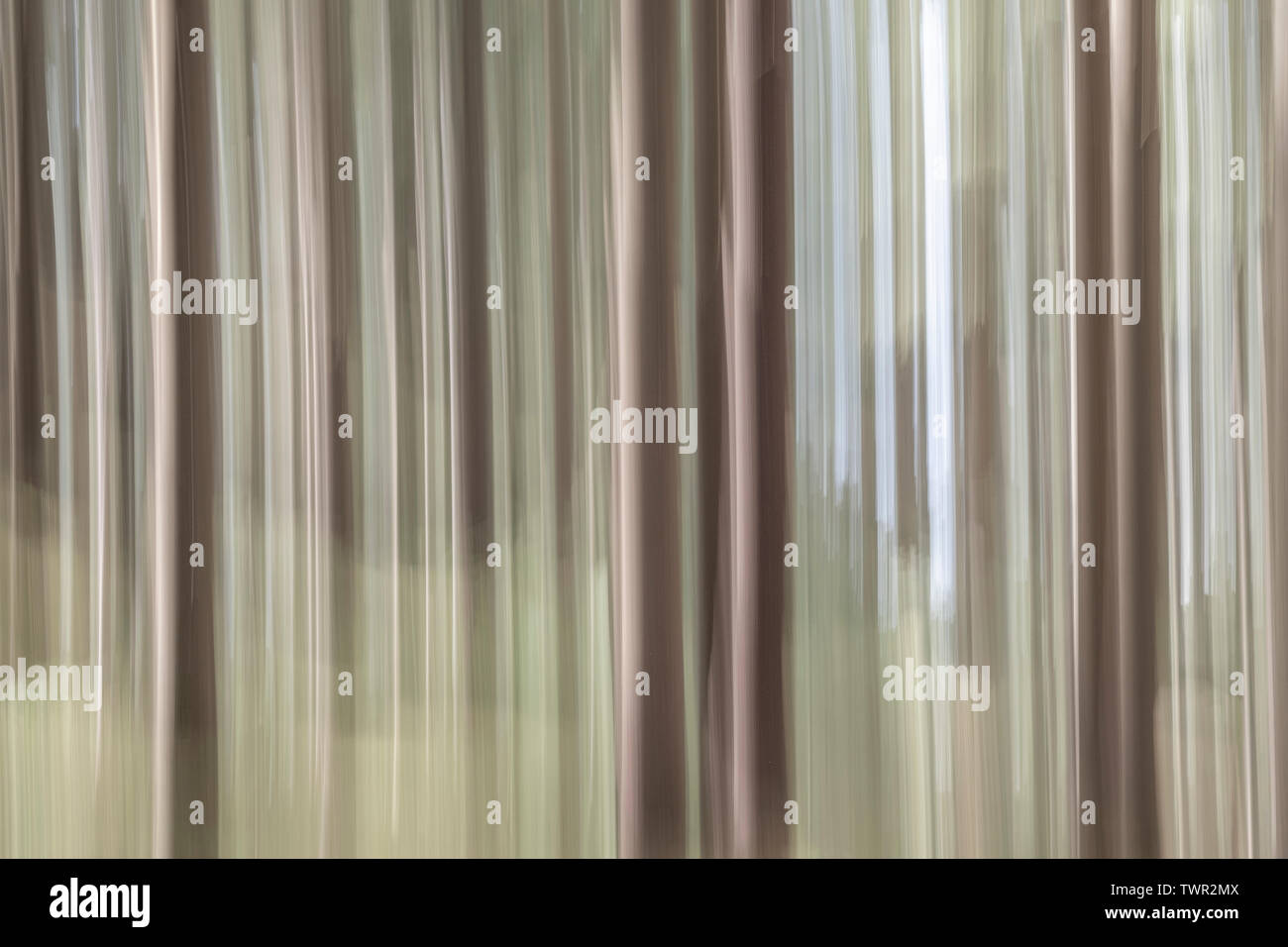 Motion Blur Vertical Stock Photos & Motion Blur Vertical Stock Images ...