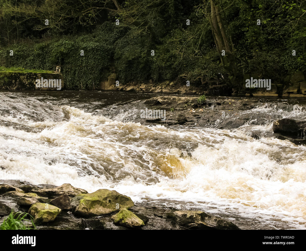 Salmon fishing ireland blackwater hi-res stock photography and images ...