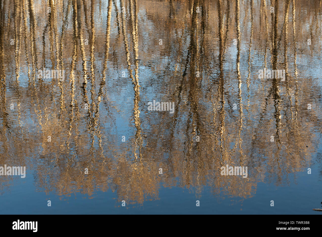 Reflective ponds hi-res stock photography and images - Alamy