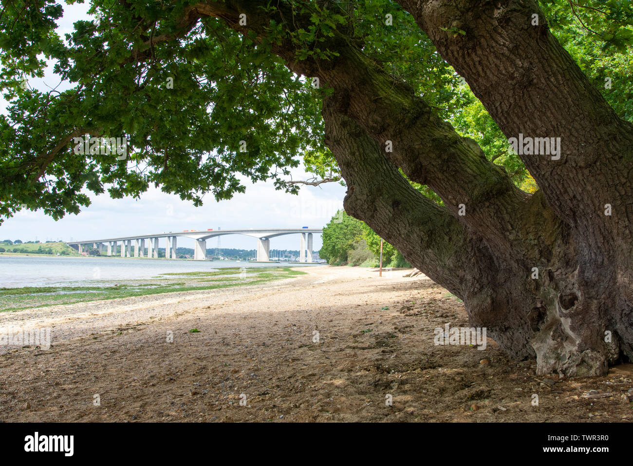 The Orwell Bridge viewed from river bank by Orwell country park Stock ...