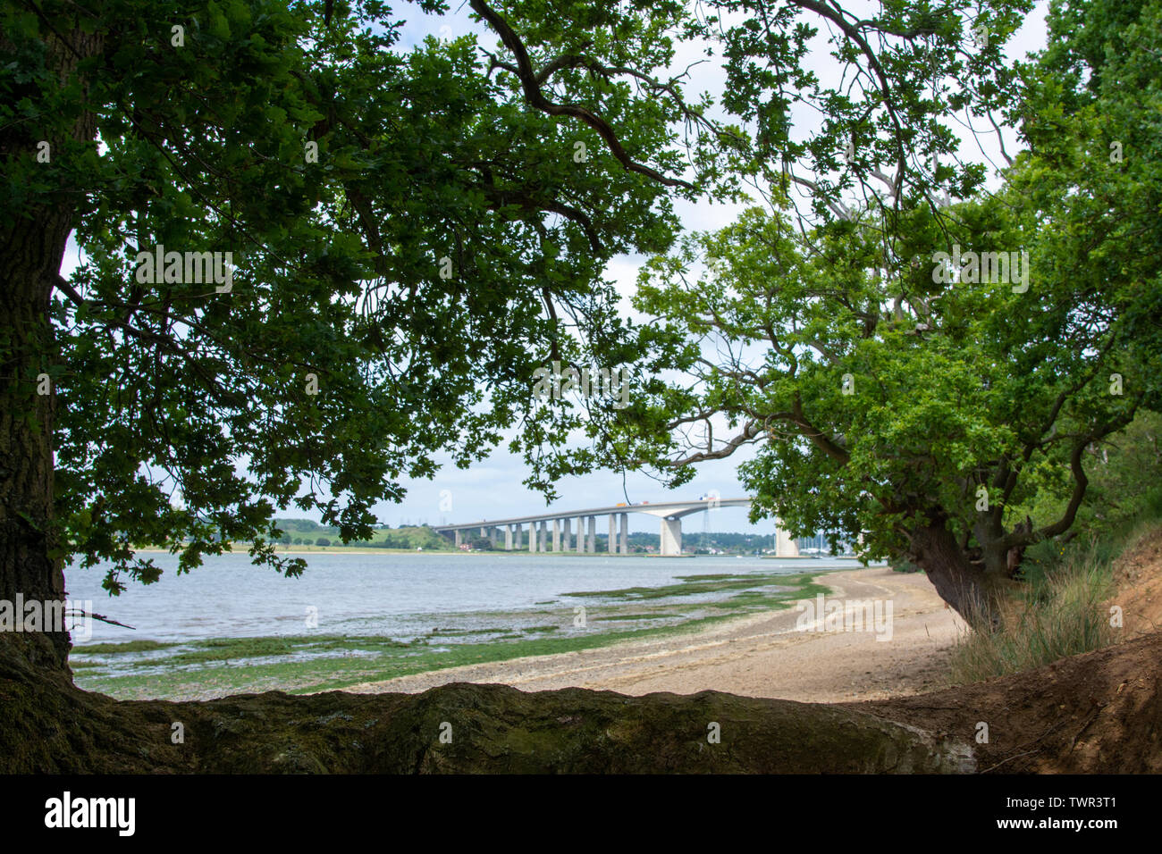The Orwell Bridge viewed from river bank by Orwell country park Stock ...