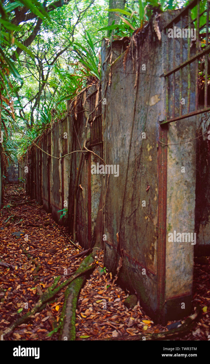 French Guyane: French political prisonier Jail on tropical devils ...