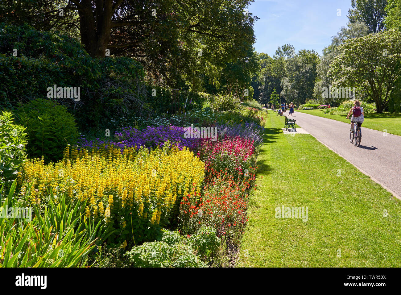 Bute Park, Cardiff, South Wales Stock Photo - Alamy