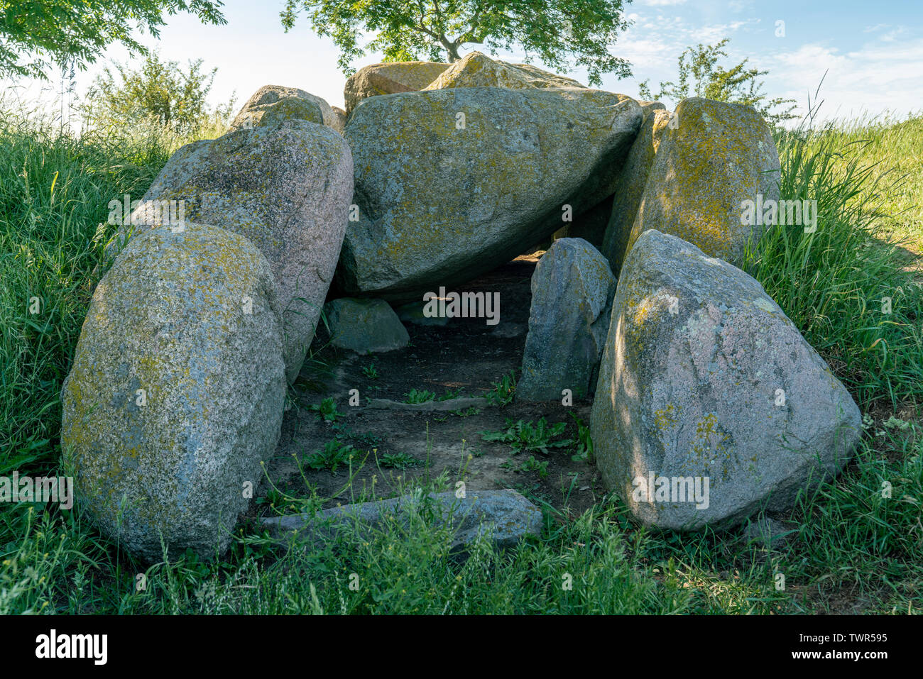 Megalith tomb Mechelsdorf 2 near Rerik and Bastorf at the Baltic sea ...