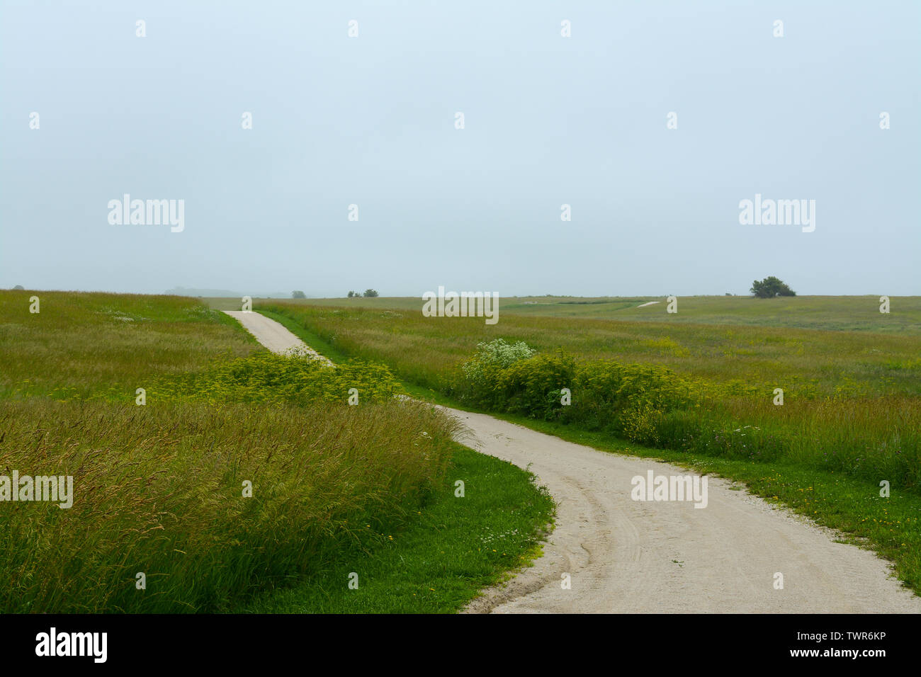 Trail through Midewin National Tallgrass Prairie as the morning fog ...