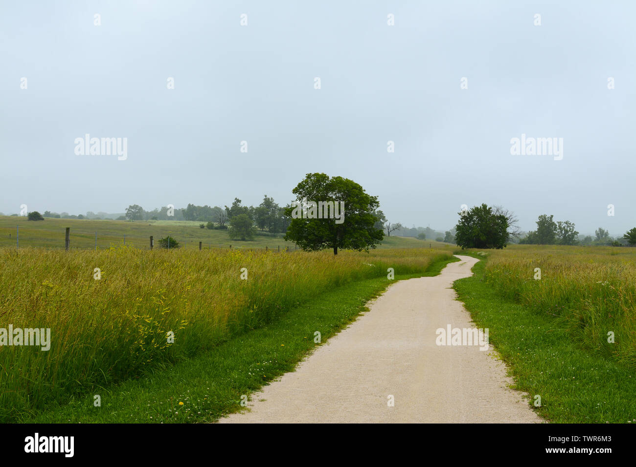 Trail through Midewin National Tallgrass Prairie as the morning fog ...