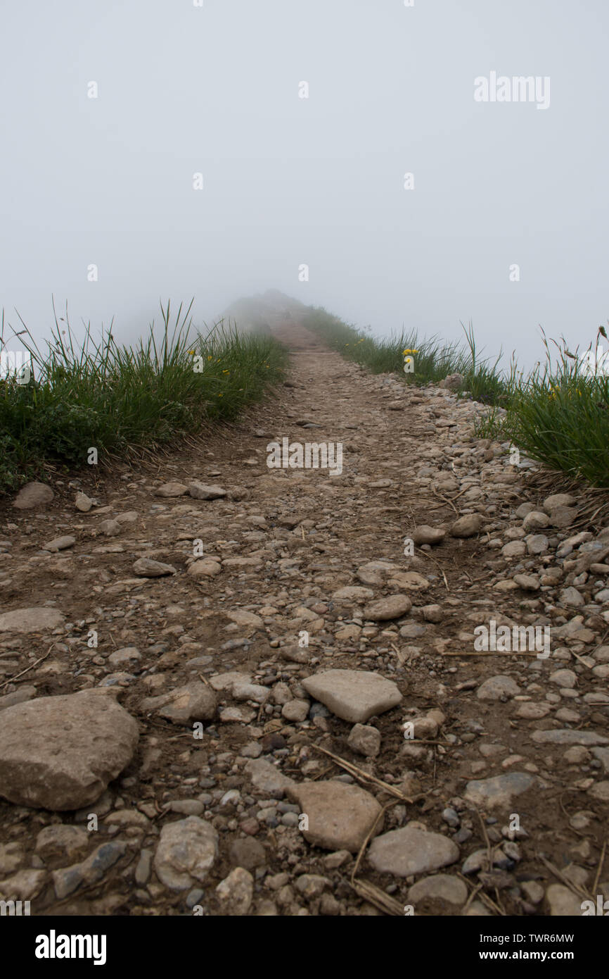 Path into the fog Stock Photo - Alamy