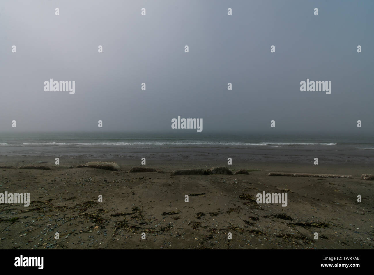 Whidbey Island beach in fog Stock Photo - Alamy