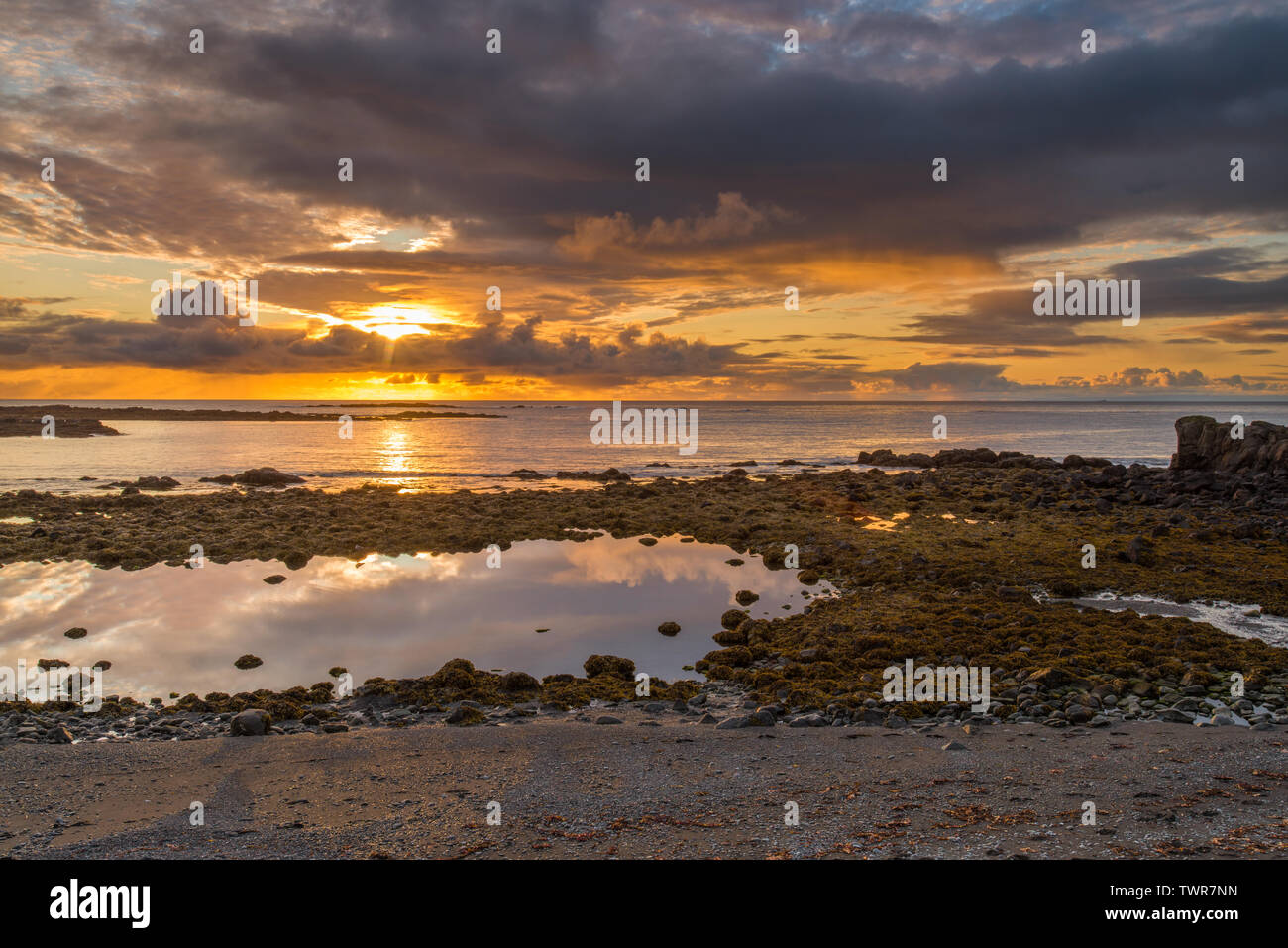 Perfect tidal pool reflection of a vivid sunset. Perfect reflections of ...