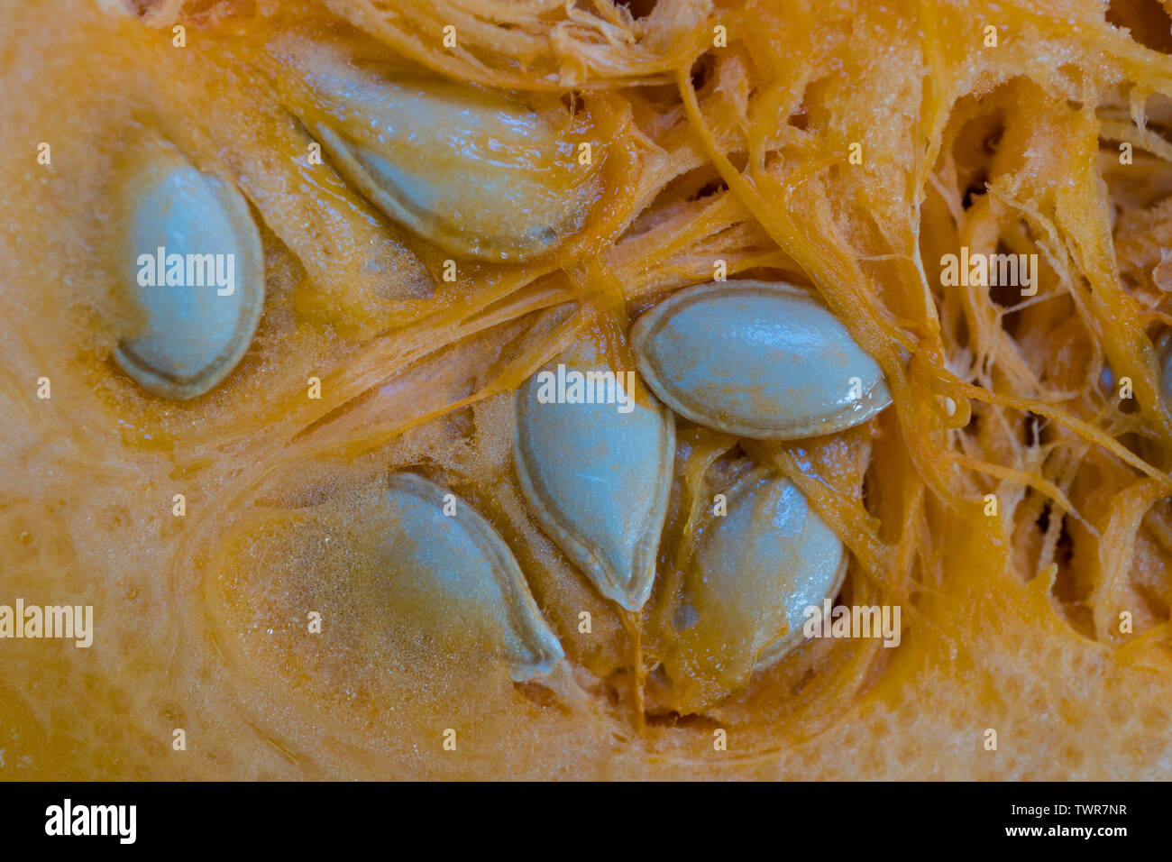 Closeup of insides of squash showing seeds. Uk Stock Photo - Alamy