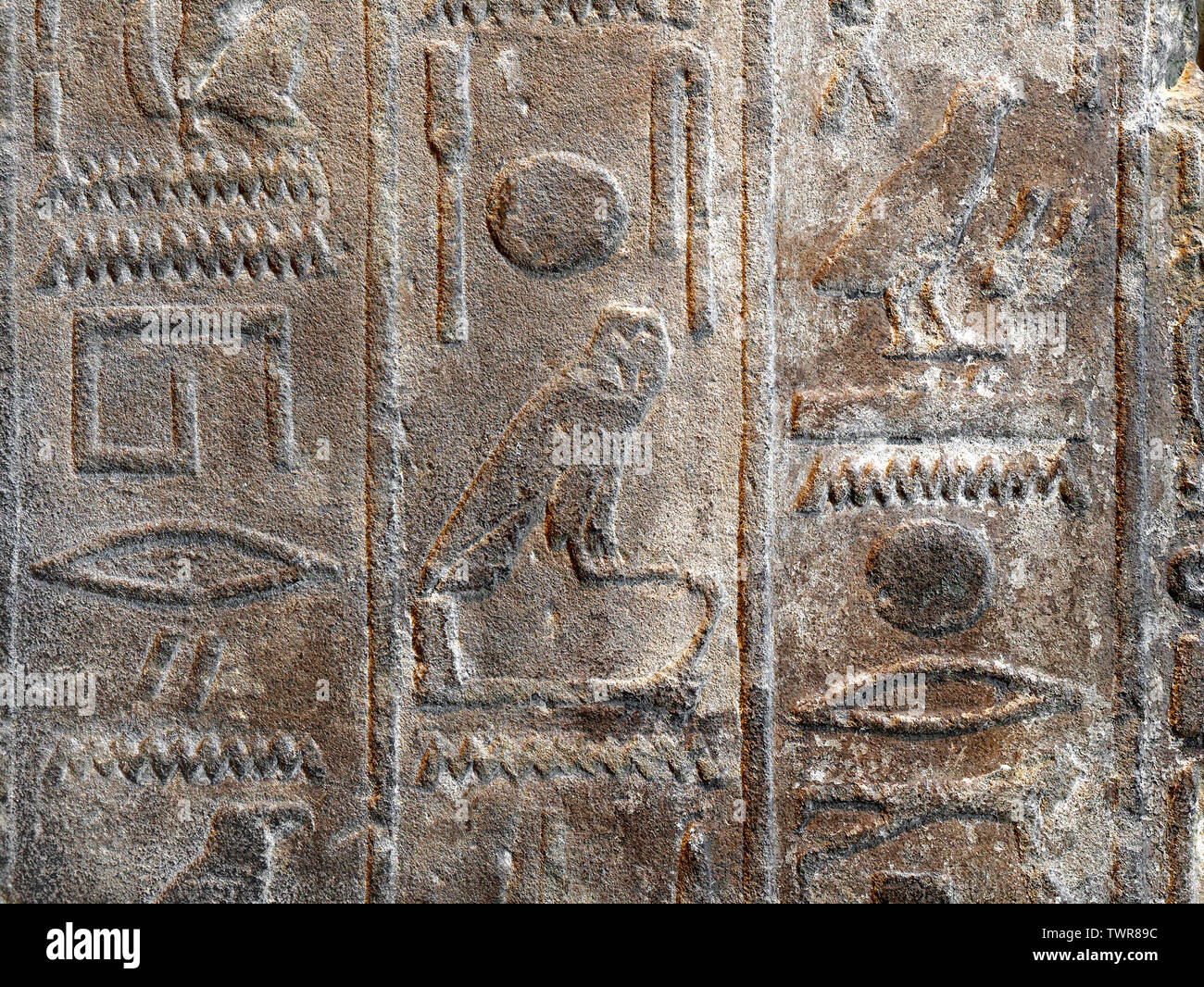 Close up shot of Egyptian hieroglyphics carved into stone Stock Photo ...