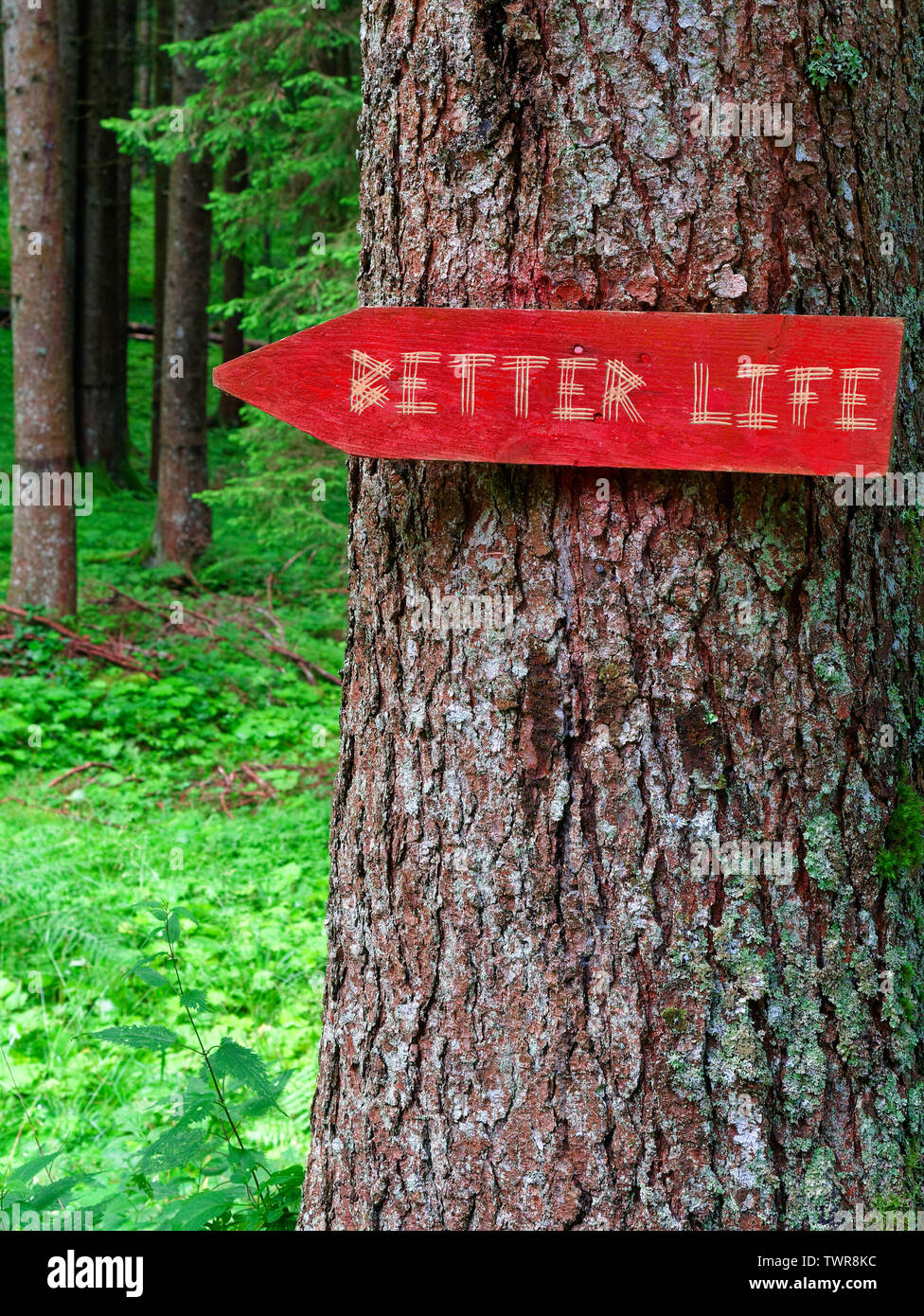 wooden sign better life in the forest Stock Photo - Alamy