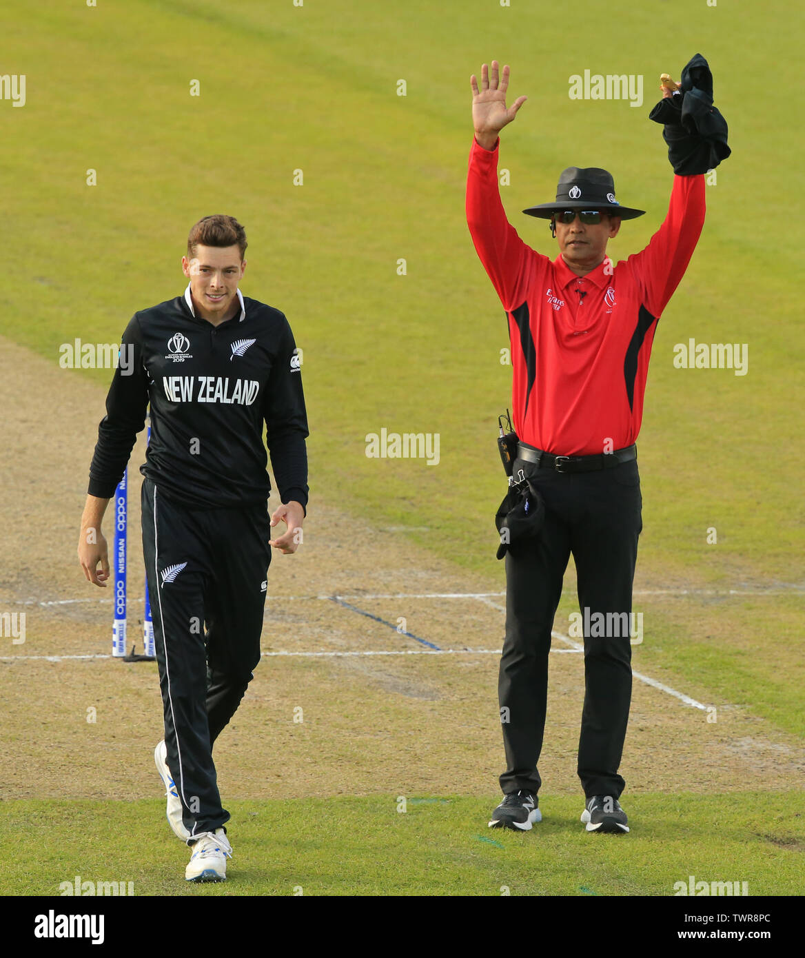 Cricket umpire signals hi-res stock photography and images - Alamy