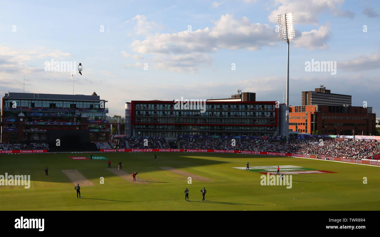 Cricket shadow hi-res stock photography and images - Alamy