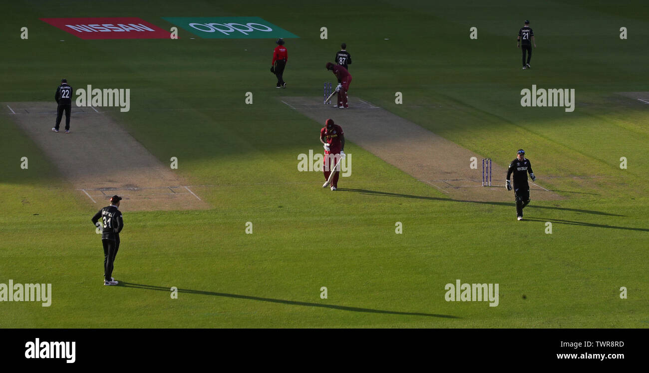 Cricket shadow hi-res stock photography and images - Alamy