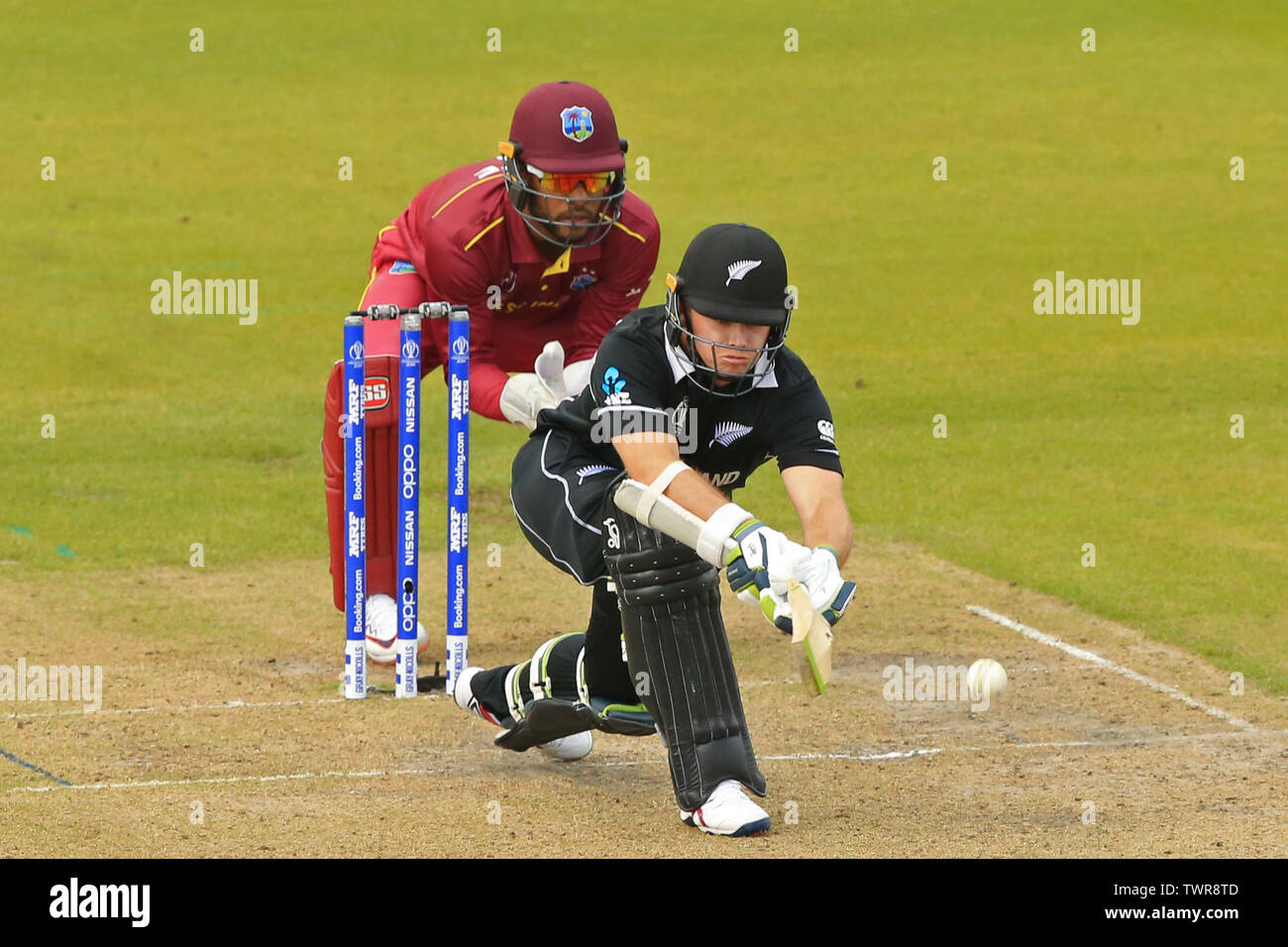 Cricket sweep shot hi-res stock photography and images - Alamy