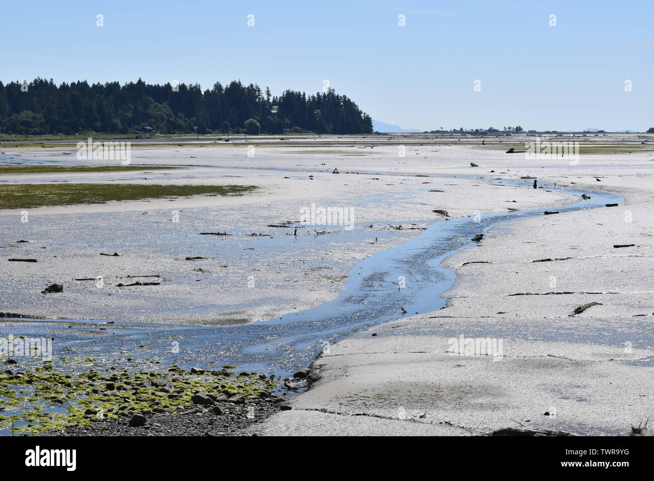 Courtenay comox hi-res stock photography and images - Alamy