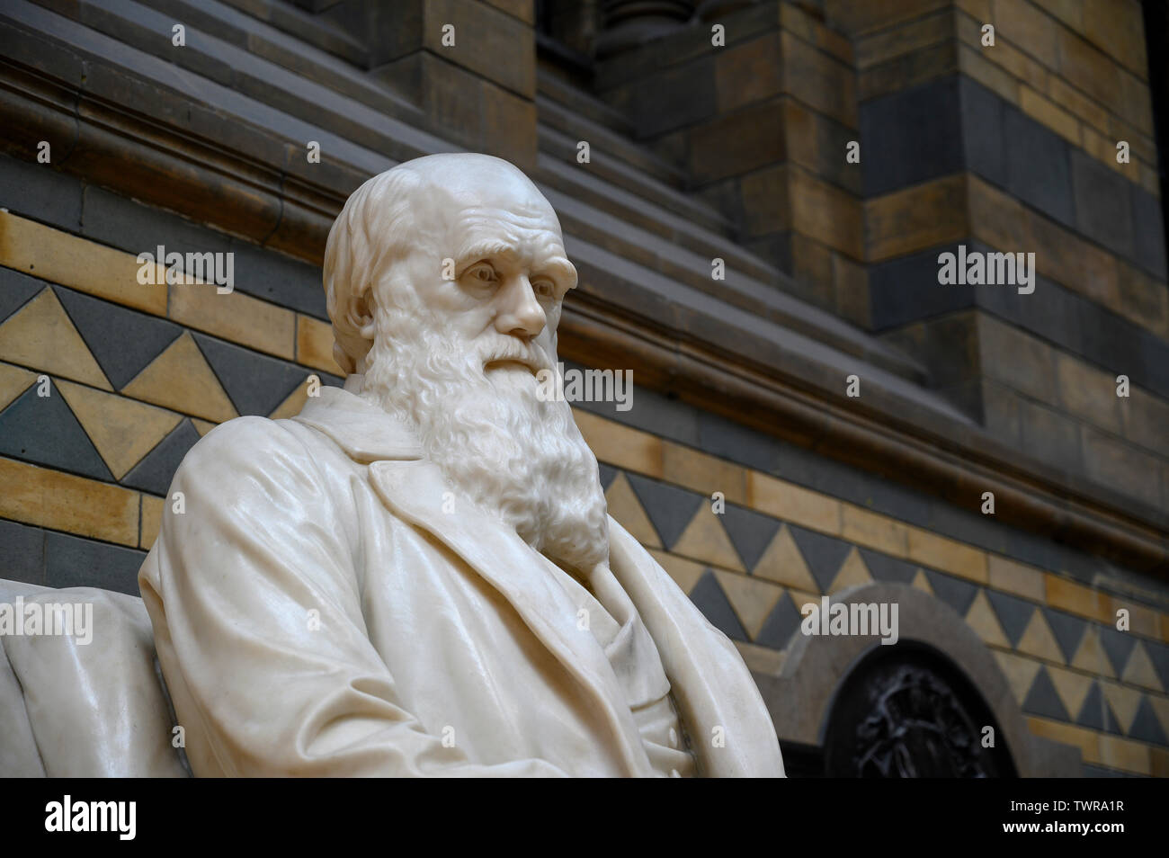 Statue of Charles Darwin at the Natural History museum London Stock ...