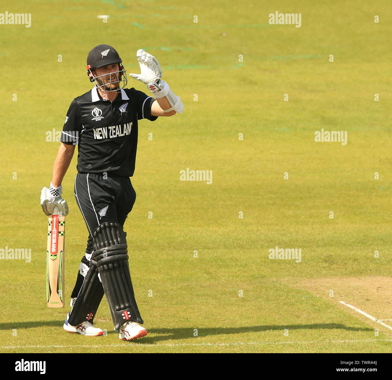 12th man cricket hi-res stock photography and images - Alamy