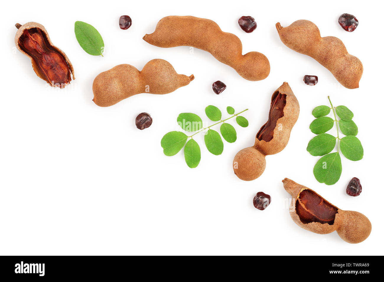 Tamarind fruit with leaf and seed isolated on white background with ...