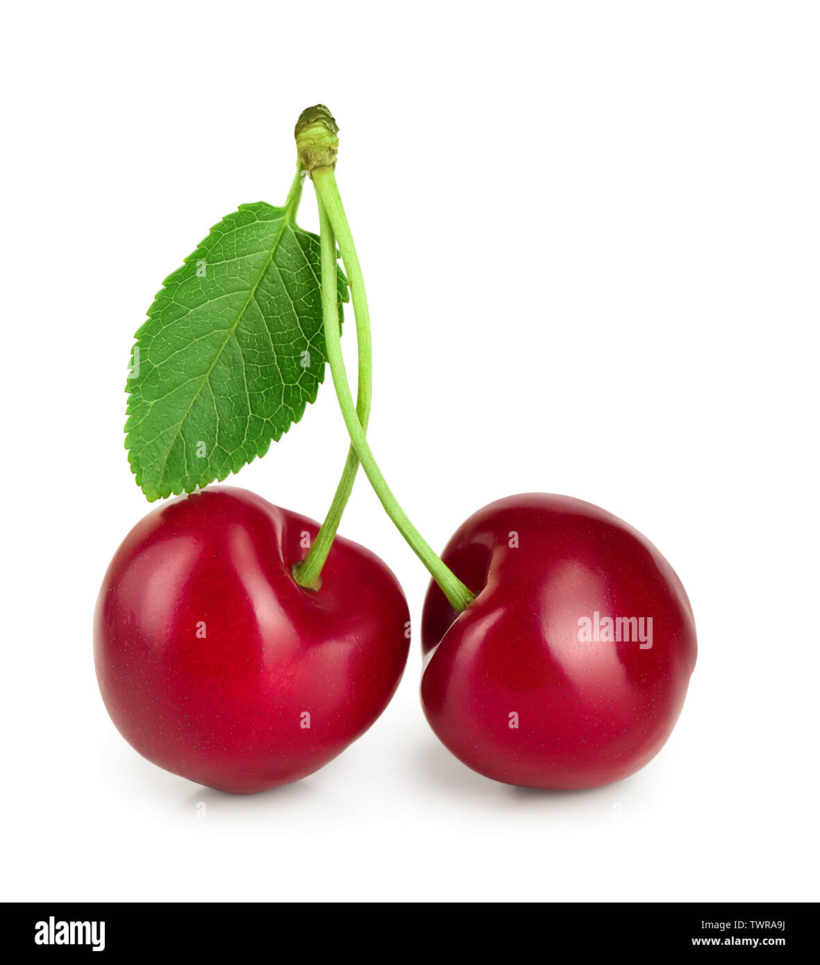 Sweet red cherries with leaves isolated on white background macro Stock ...