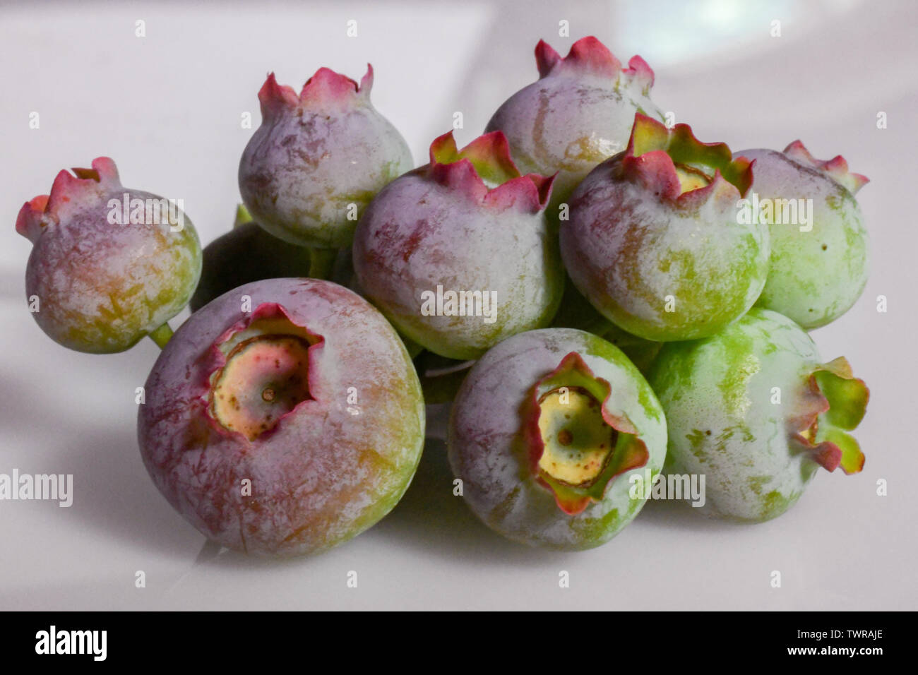 Blueberries Cut Out High Resolution Stock Photography and Images - Alamy