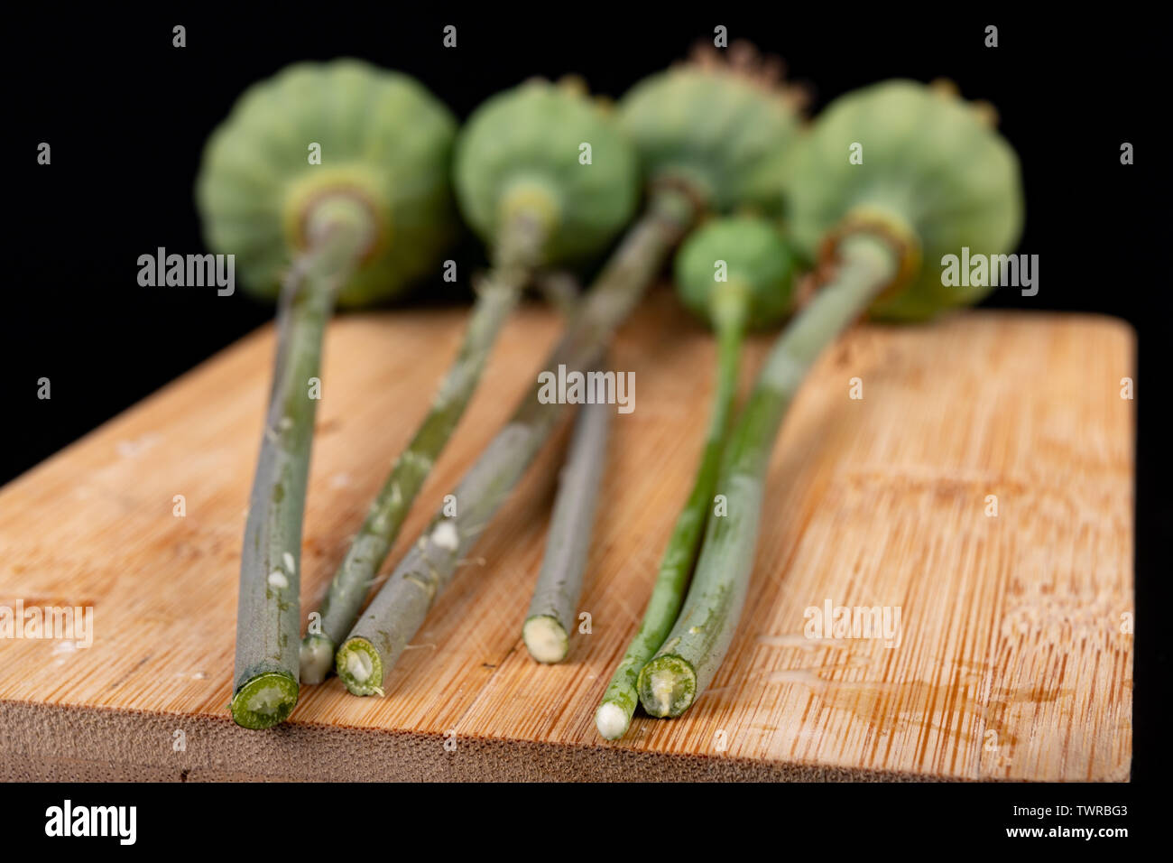 Stem of poppy on a kitchen board. White liquid flowing out of the poppy ...