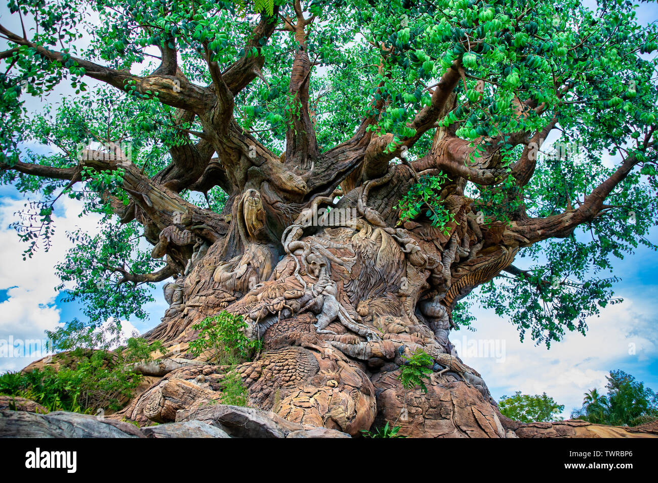 ORLANDO, FLORIDA USA. MAY 03, 2019: The Tree of Life at Disney's Animal ...
