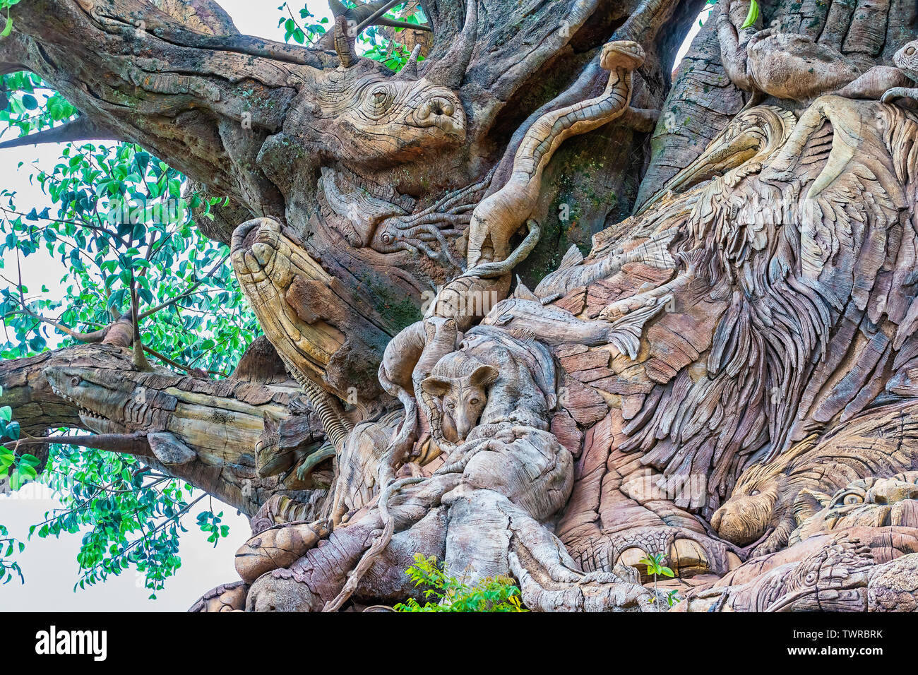 ORLANDO, FLORIDA USA. MAY 03, 2019: Carvings on The Tree of Life at ...