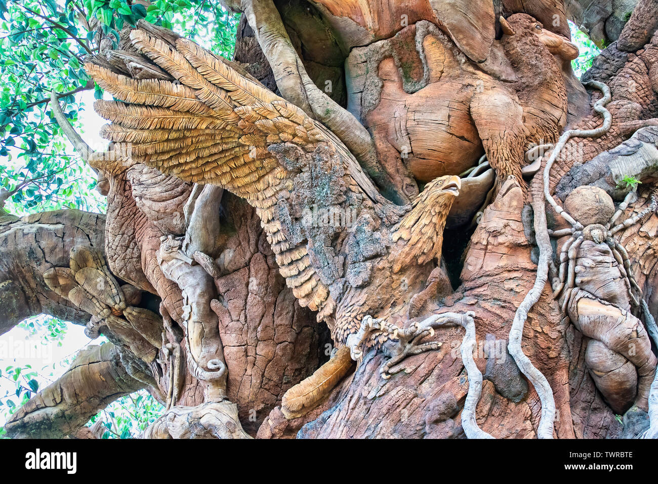 ORLANDO, FLORIDA USA. MAY 03, 2019: Carvings on The Tree of Life at ...
