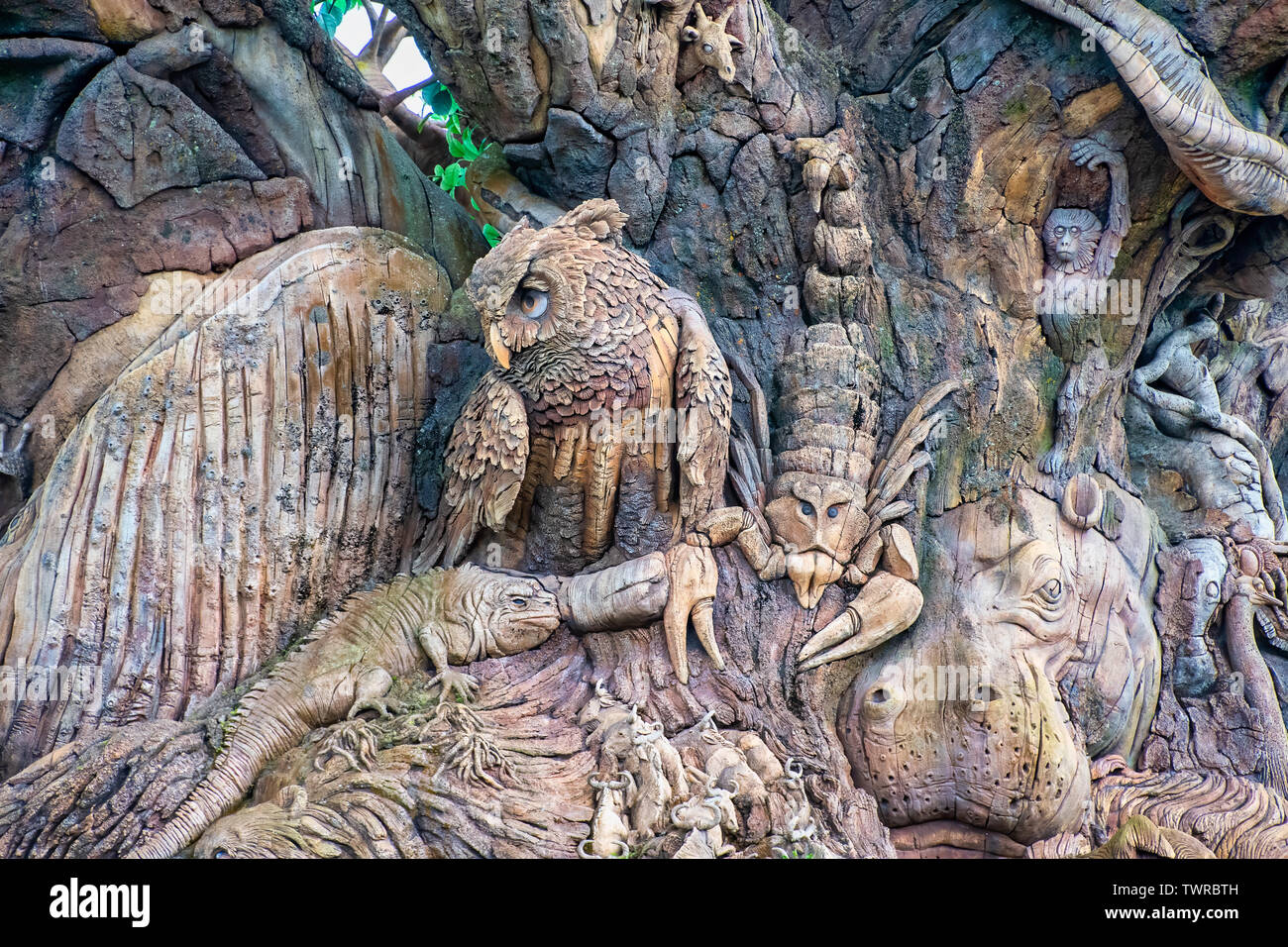 Disney Carved Tree