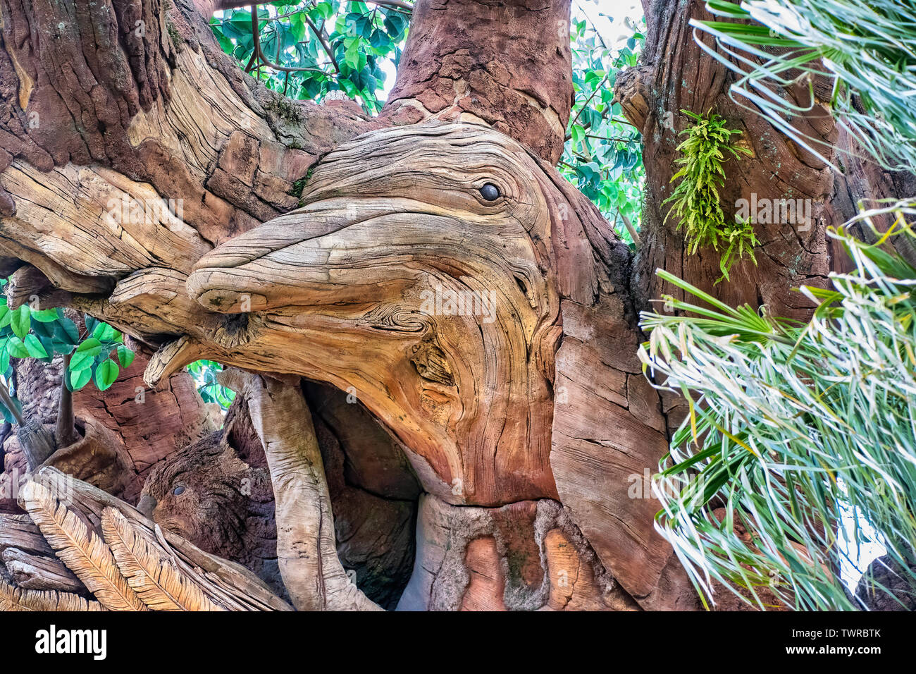 ORLANDO, FLORIDA USA. MAY 03, 2019: Carvings on The Tree of Life at ...
