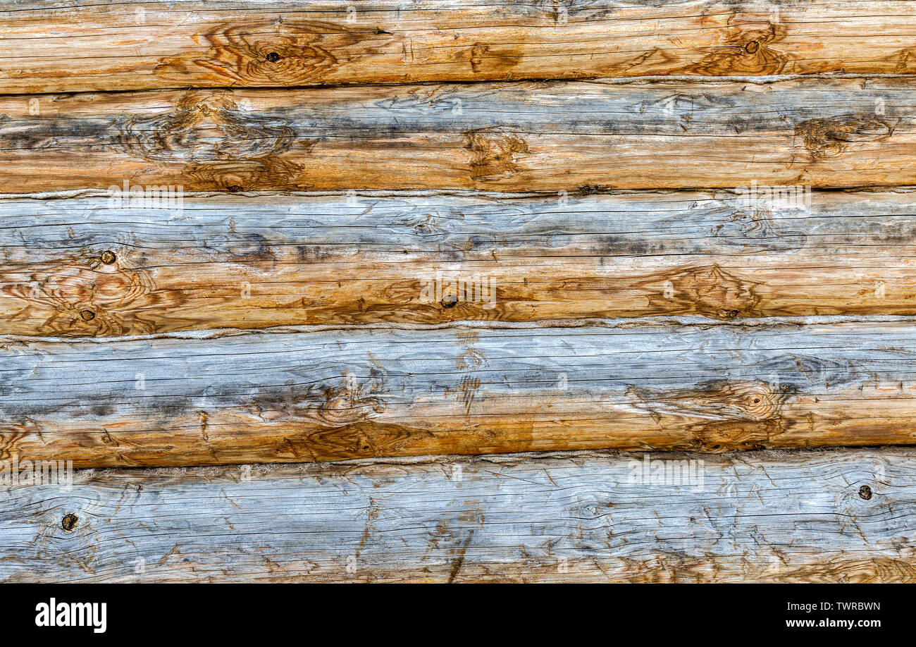 Wooden logs with natural patterns as background, wooden logs texture ...