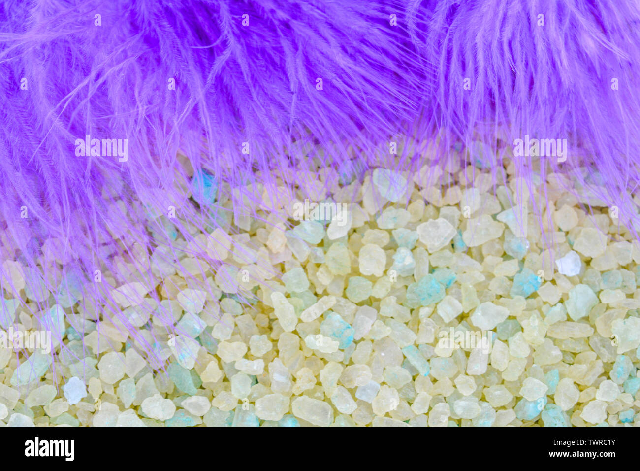 Purple Bird Feather on Crystals of Aromatic Bath Sea Salt for Spa may ...