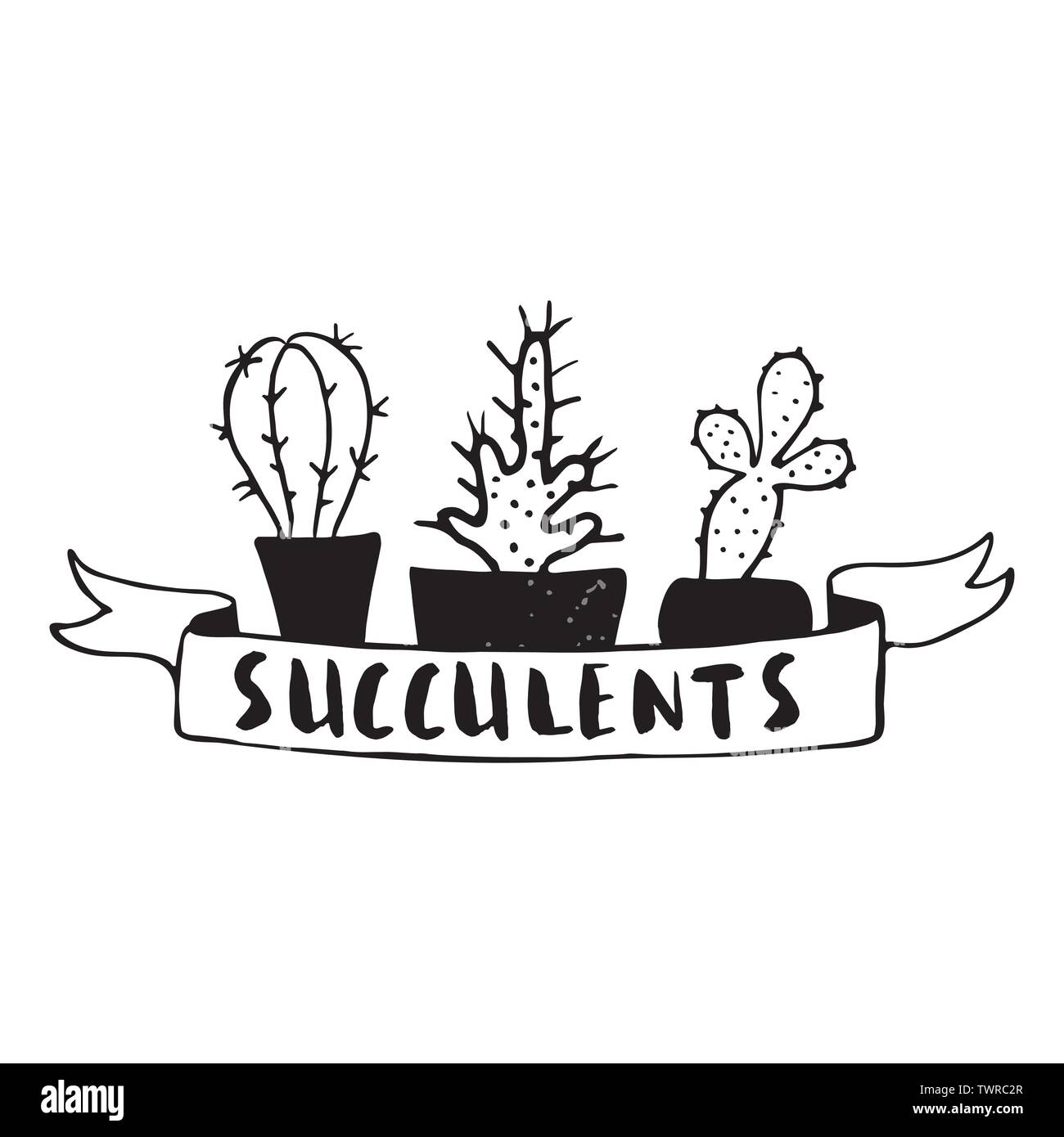 Set Of Cactuses Hand Drawn Vector Illustration Stock Vector Image