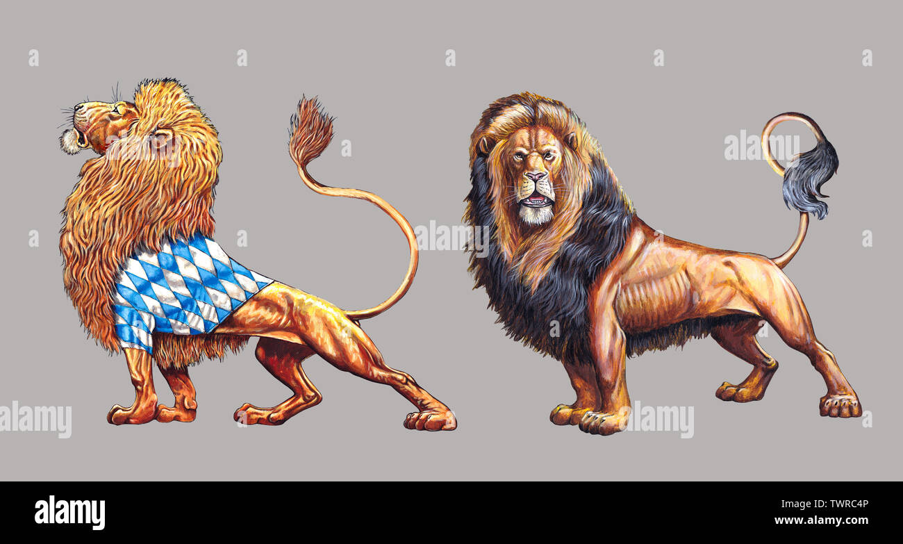 Lion hand painted. 2 Lions illustrations. Big cat acrylic illustration ...