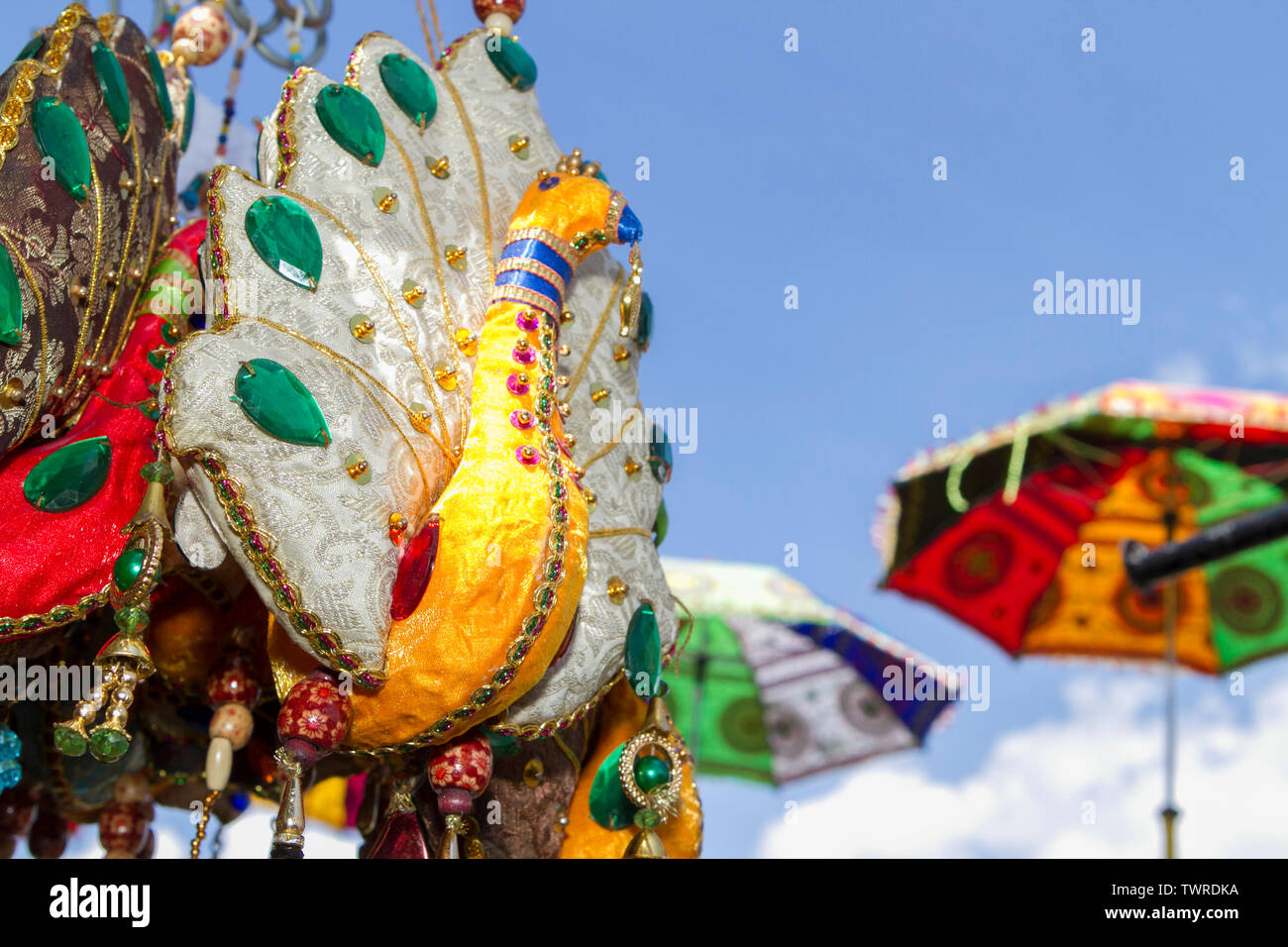 Good luck bird hi-res stock photography and images - Alamy