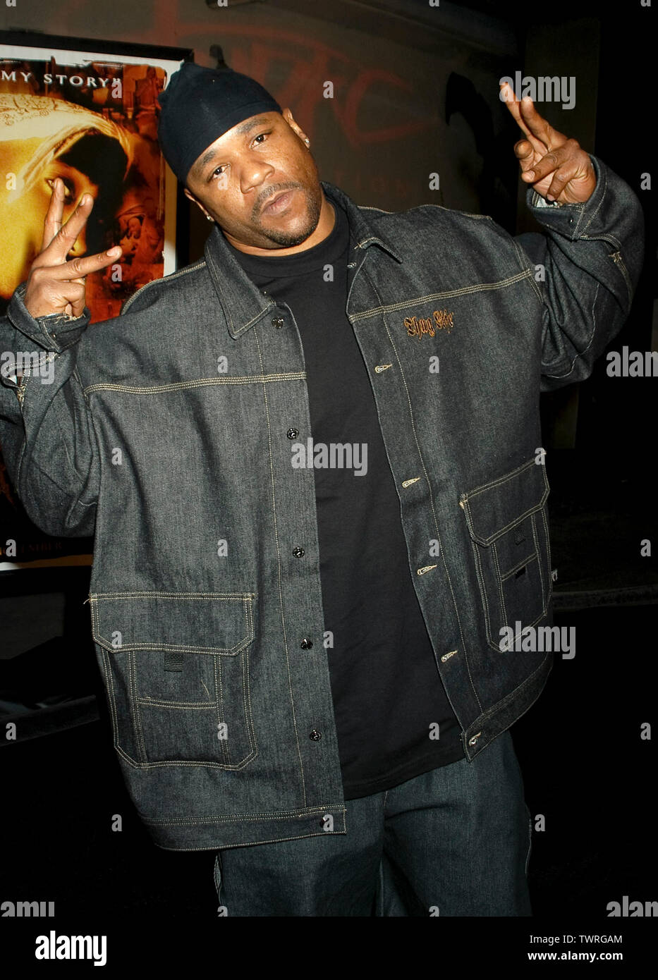 Syke at the World Premiere of "Tupac: Resurrection" at the Arclight ...