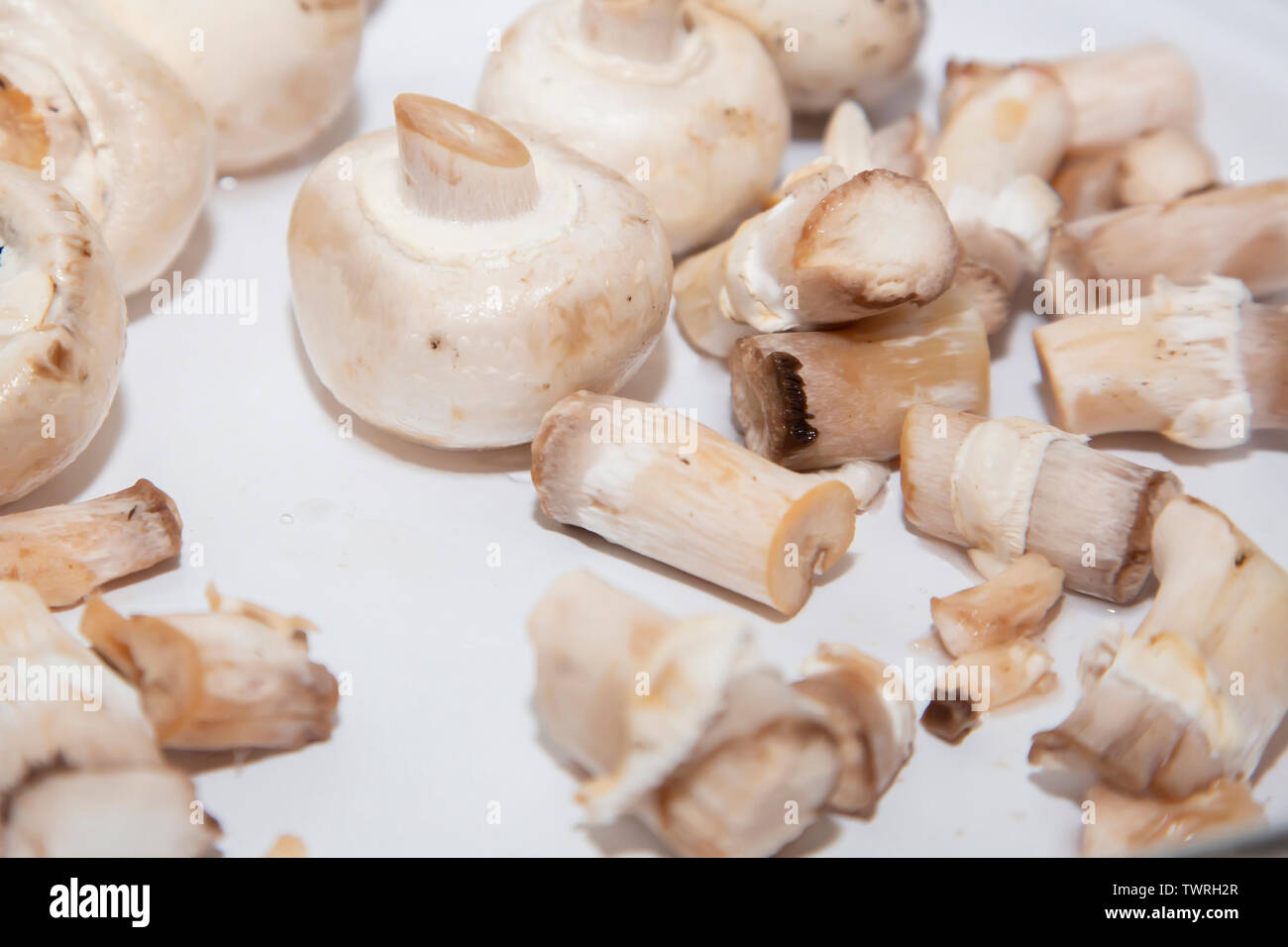 Mushroom caps and stems on a white plate Stock Photo - Alamy