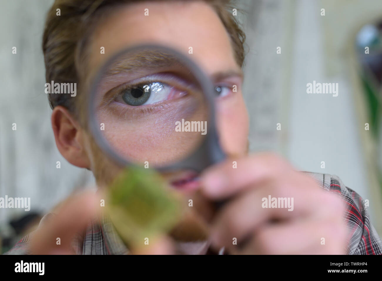 looking through magnifying glass Stock Photo - Alamy