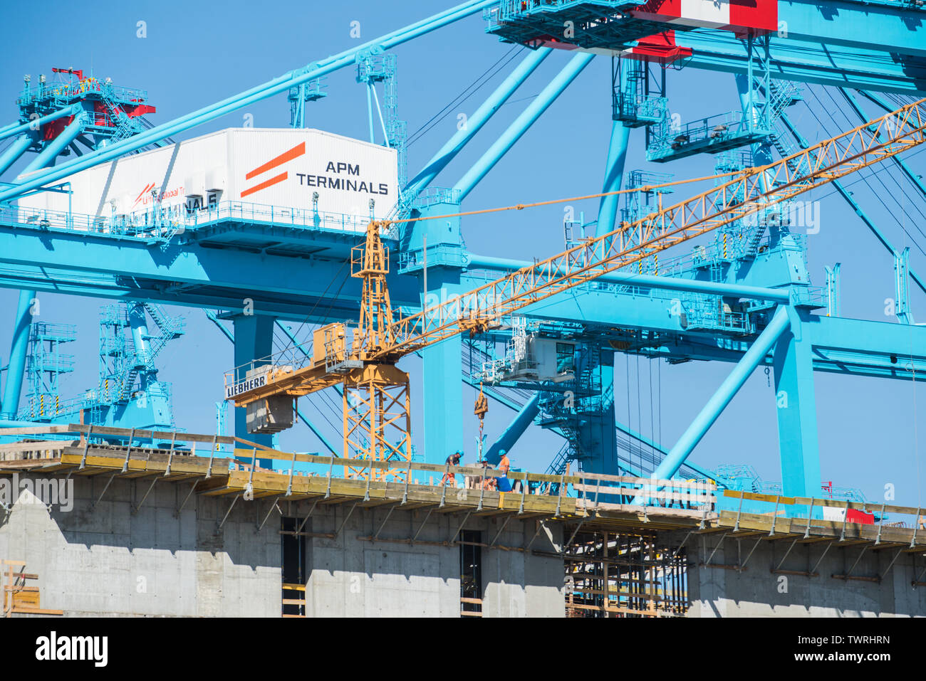 Work in progress during building of Vado Ligure port new cargo APM ...