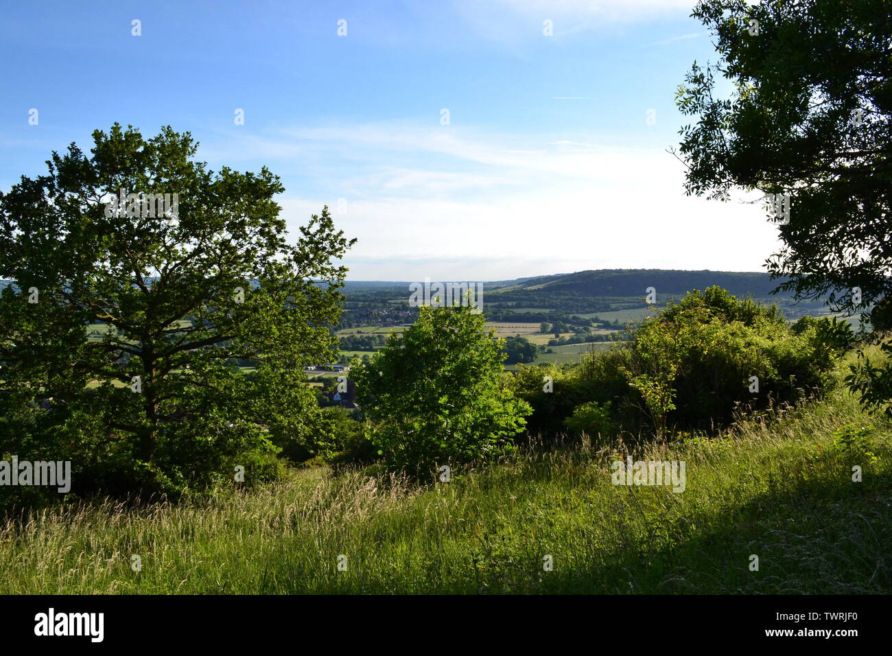 The view from the top of Fackenden Down, an area of rare biodiversity ...