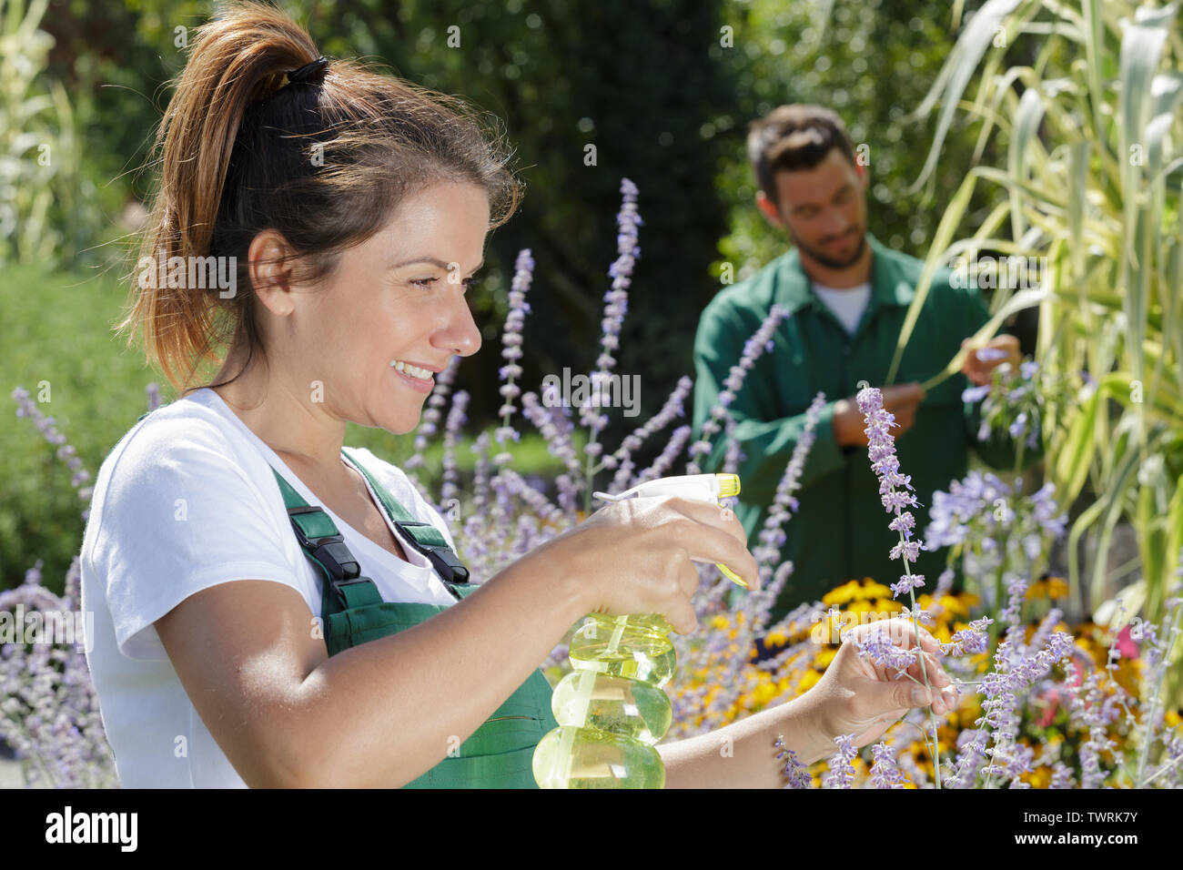 two landscape gardeners at work Stock Photo - Alamy