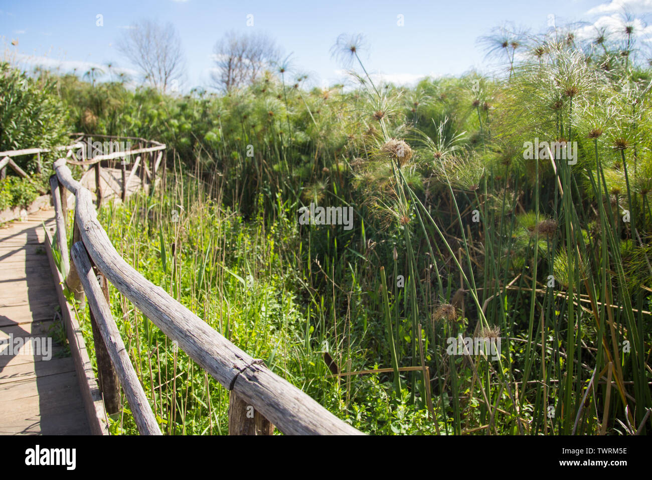 Sicilia italy hi-res stock photography and images - Alamy