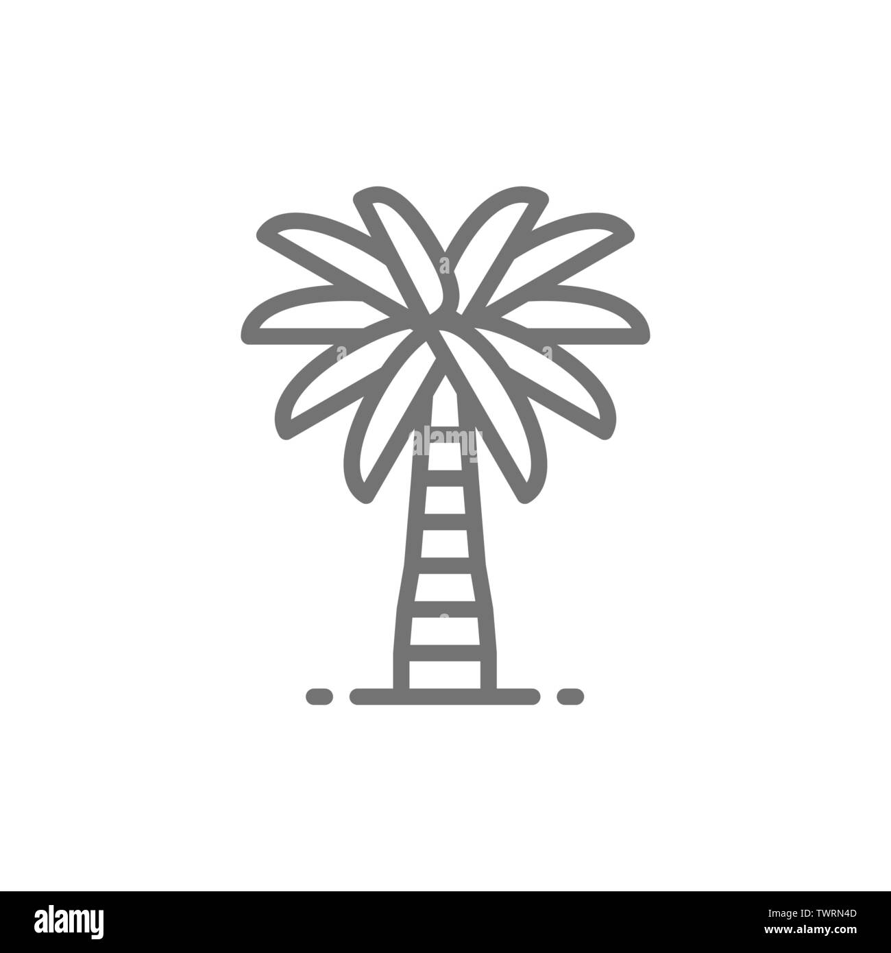 Palm lined beach Stock Vector Images - Alamy