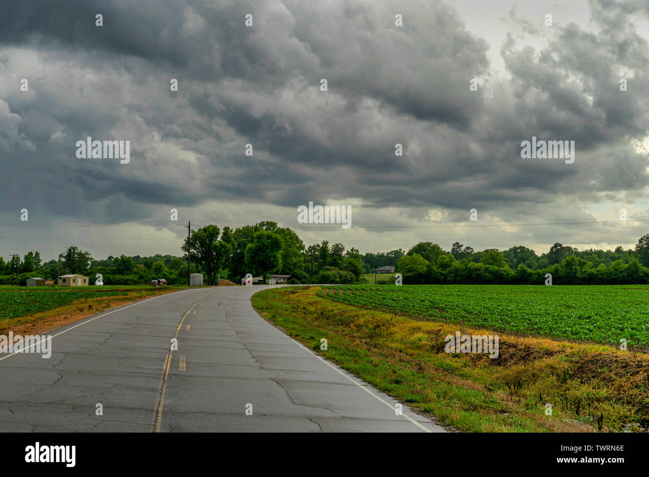 Storm clouds moving over a cotton field in Vernon, Alabama Stock Photo ...