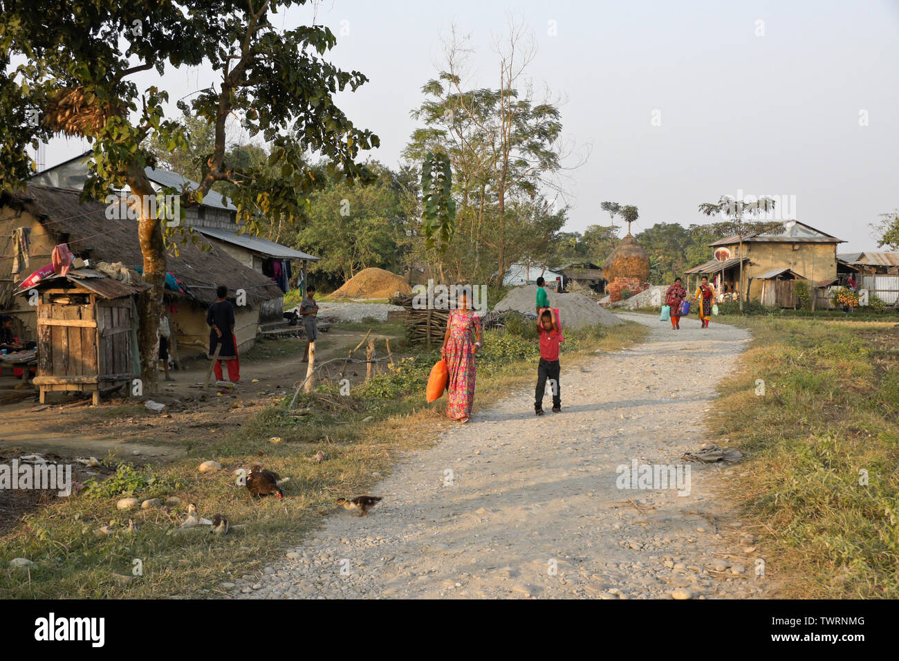 Nepal tharu house High Resolution Stock Photography and Images - Alamy